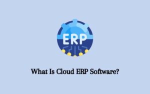 What Is Cloud ERP Software? - Senjanesia